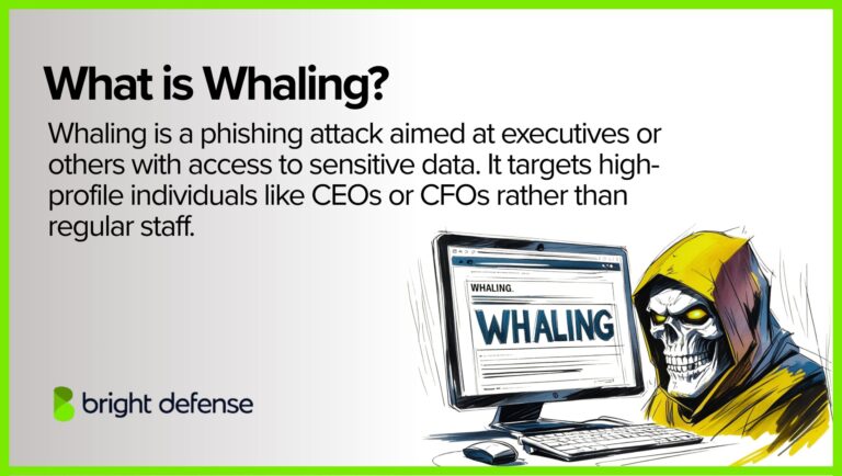 What is Whaling in Cybersecurity?